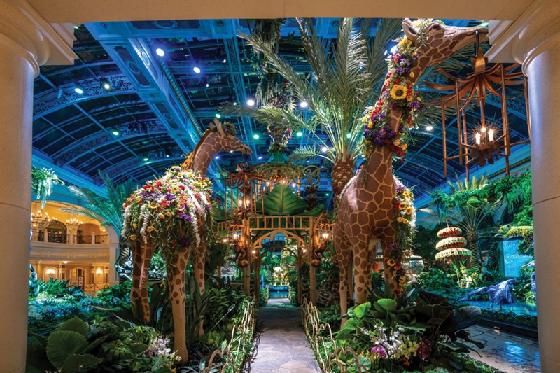 Celebrate Summer In Las Vegas At Bellagio s Conservatory Las Vegas Celebrate Summer In Las Vegas At Bellagio s Conservatory Las Vegas