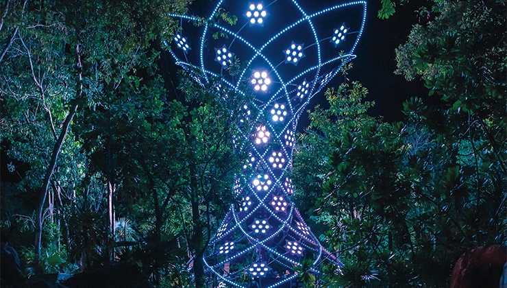 'TRANSFIX' creates an immersive experience like no other on the Las ...