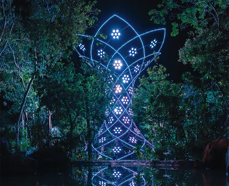 'TRANSFIX' creates an immersive experience like no other on the Las ...